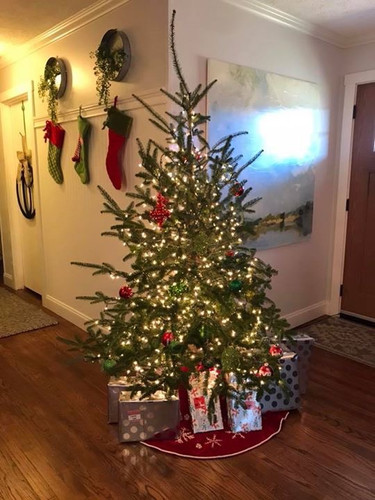 Charlie Brown Tree (5-7 ft) | godfreytrees