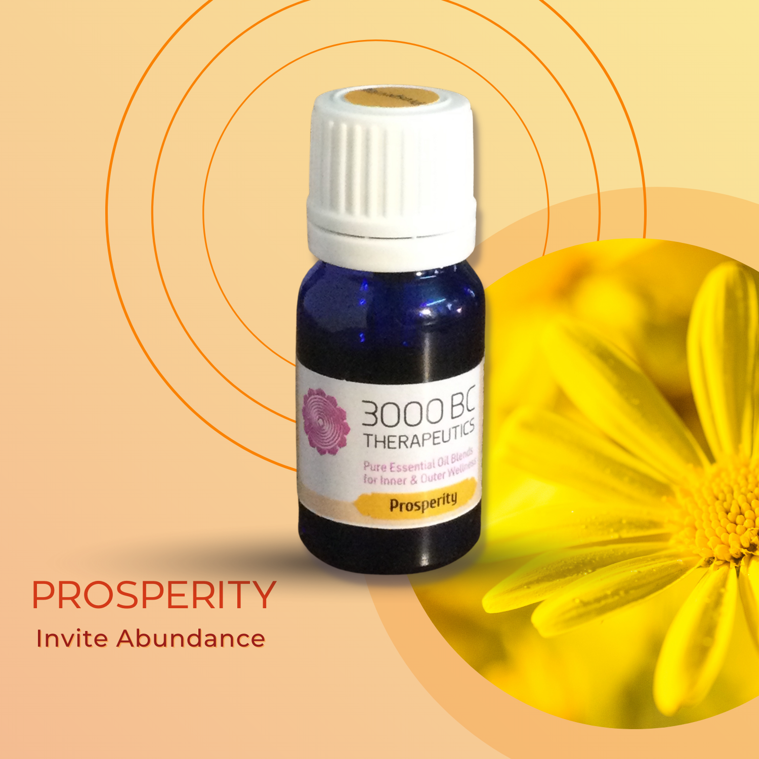 Prosperity Diffuser