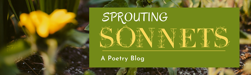 Blog | Victoria Roberts - Writer of Sonflower Stories