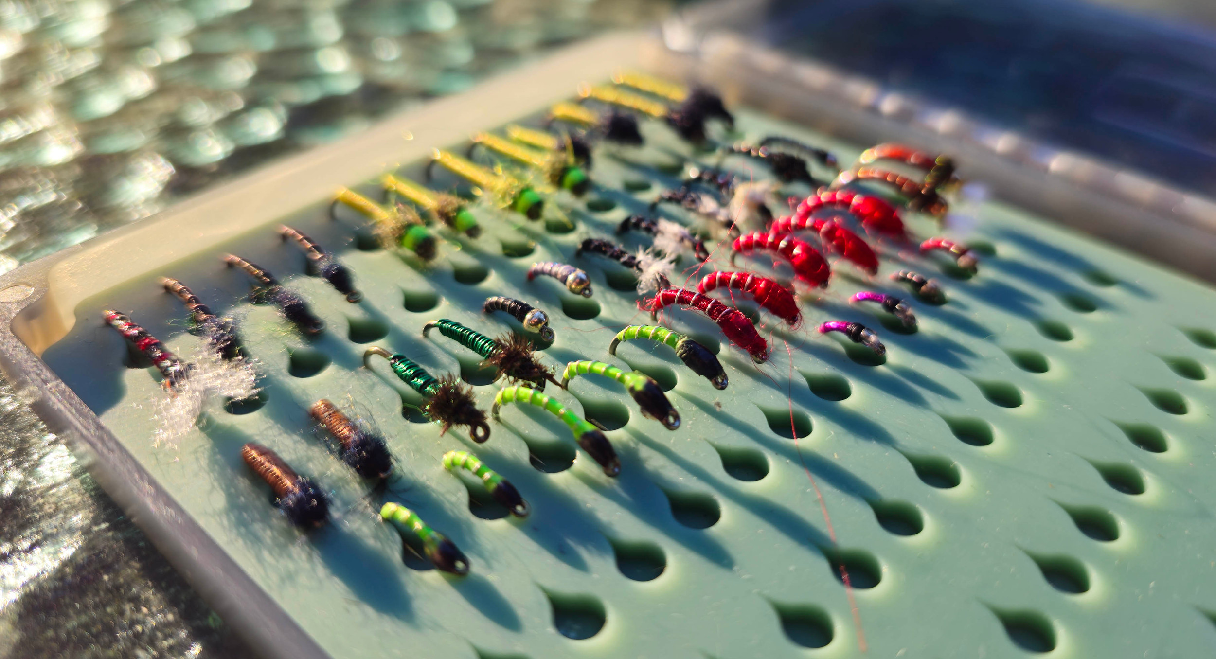 What the Heck Are Chironomids? (And Why Do I Need Them in My Fly Box?)