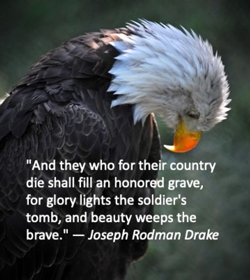 The Colonel’s Motivational Quotes for the Day!