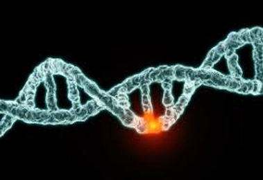 BUILD YOUR OWN GENE MUTATION!