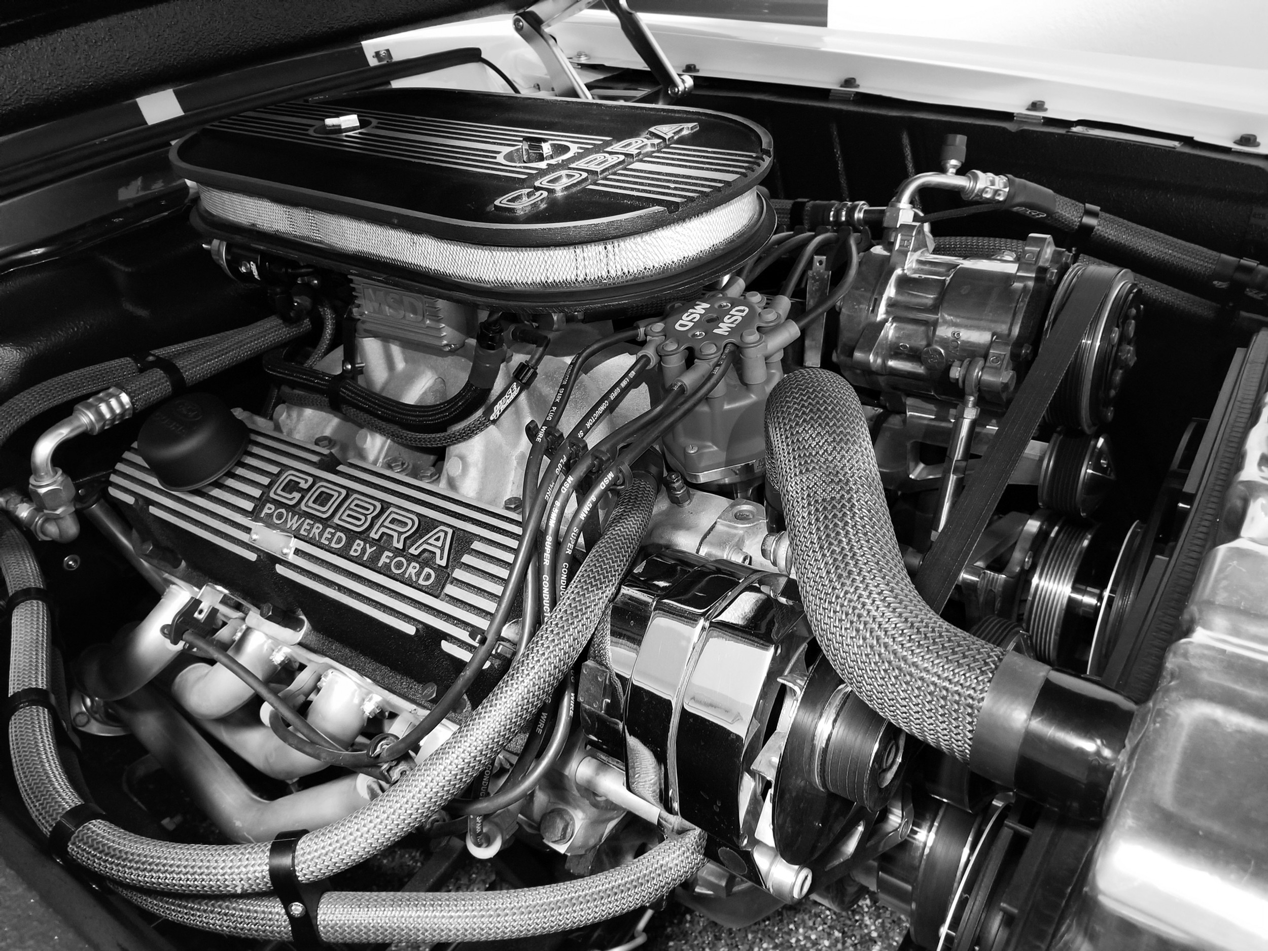 Spec Details | Mustang Snake