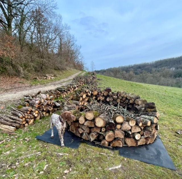 How to Build a Nordic Round Log Stack