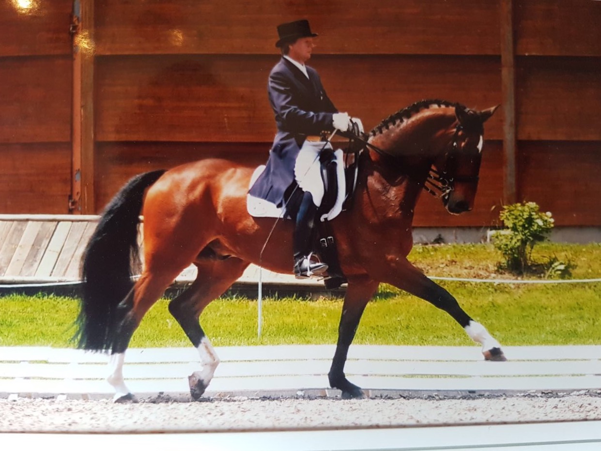 Manfred Herrmann | reitsport-herrmann