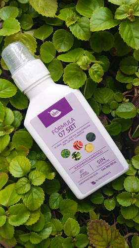 Fórmula 07 SBT Sabor Té Verde Blen 500 ml | Rincón Verde