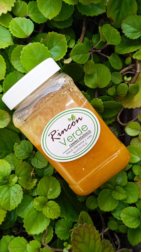 MIEL VIRGEN 100% DE ABEJA 🐝750GR | Rincón Verde