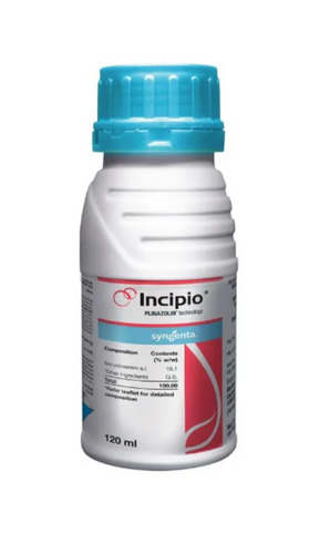 Syngenta Incipio Broad Spectrum Isocycloseram 18.1% w/w SC Insecticide ...