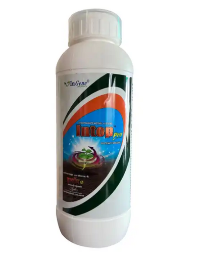 Ingene Intop Pro Fungicide Thiophanate Methyl 41.7% SC | Gagan Pesticides