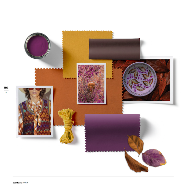 Trendbook Moodsign COLORS AW24/25
