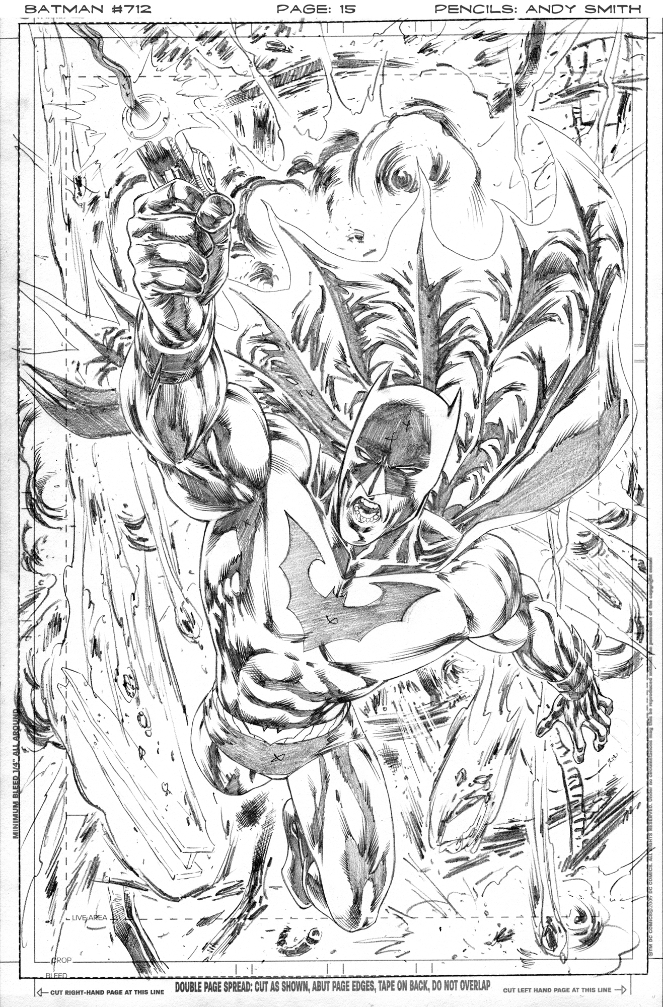 Illustration | Andy Smith Art/ Dynamic Art and Design