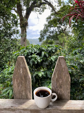 Cafe Bella Aurora | Specialty Coffee