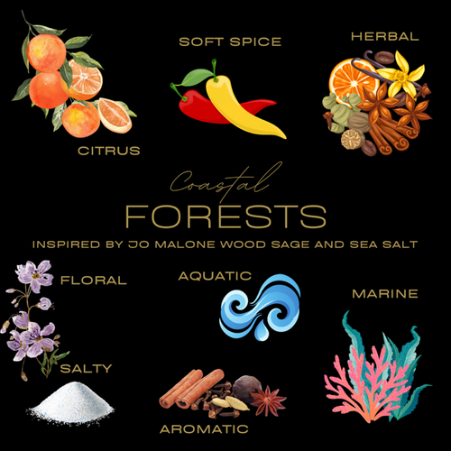 Coastal Forests (Inspired by Jo Malone Wood Sage & Sea Salt) | Mimic ...