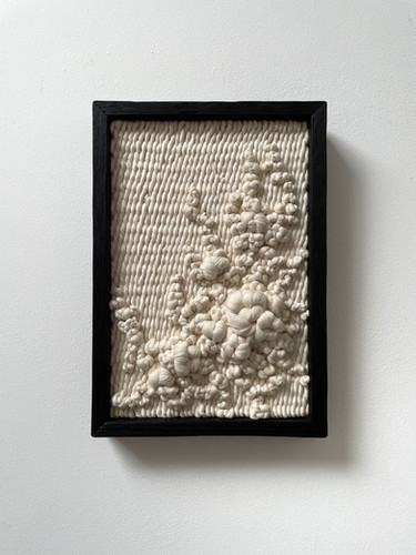 Seaweed 001 | Elle Collins