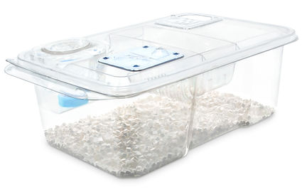 Gnotobiotics | Innovive