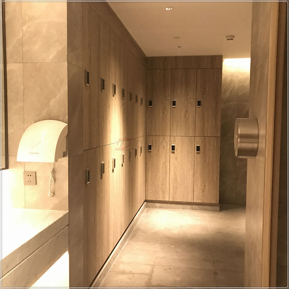 Star Hotel Gym | Spa Lockers | Dailot Furniture