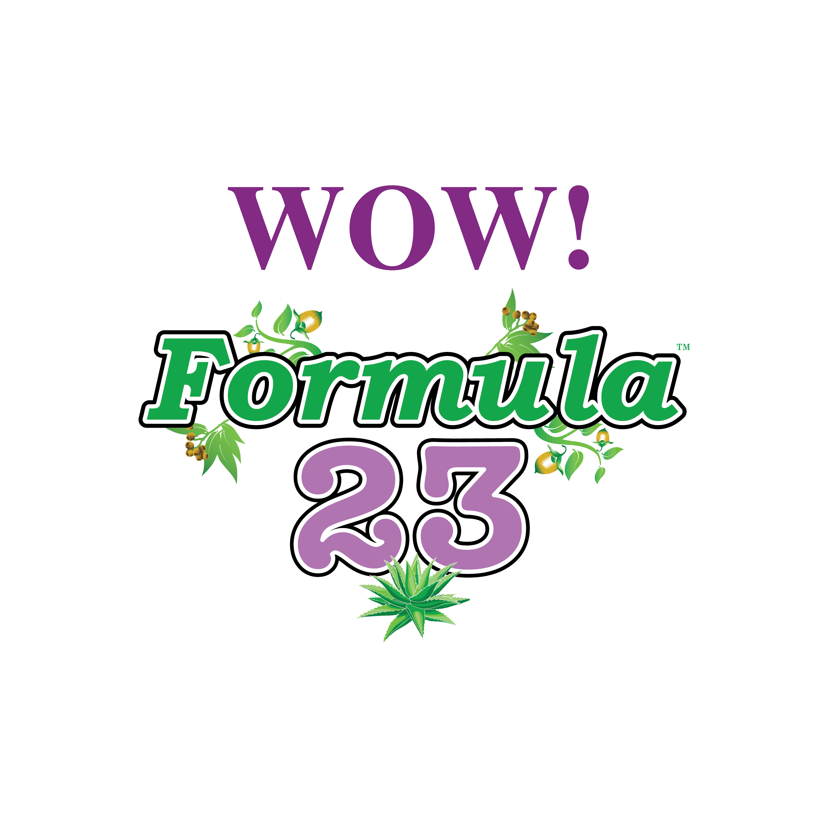 Add “WOW FORMULA 23” on Dine by Wix