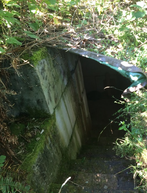 Home [www.expandingfrontiersresearch.org]