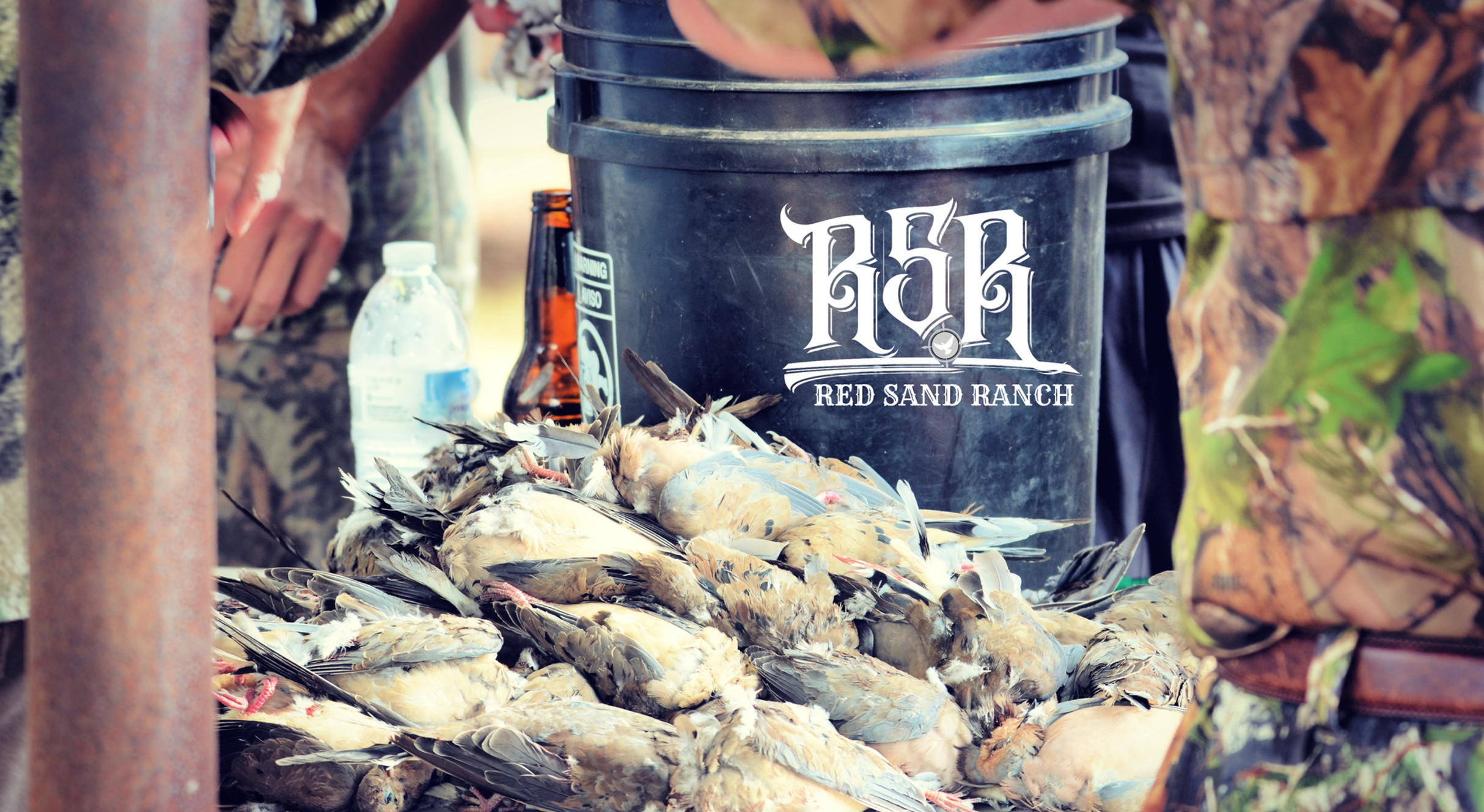 GALLERY | Red Sand Ranch