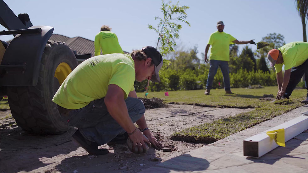 Sod Sales And Installation | Agriscape Sod Services | Arcadia