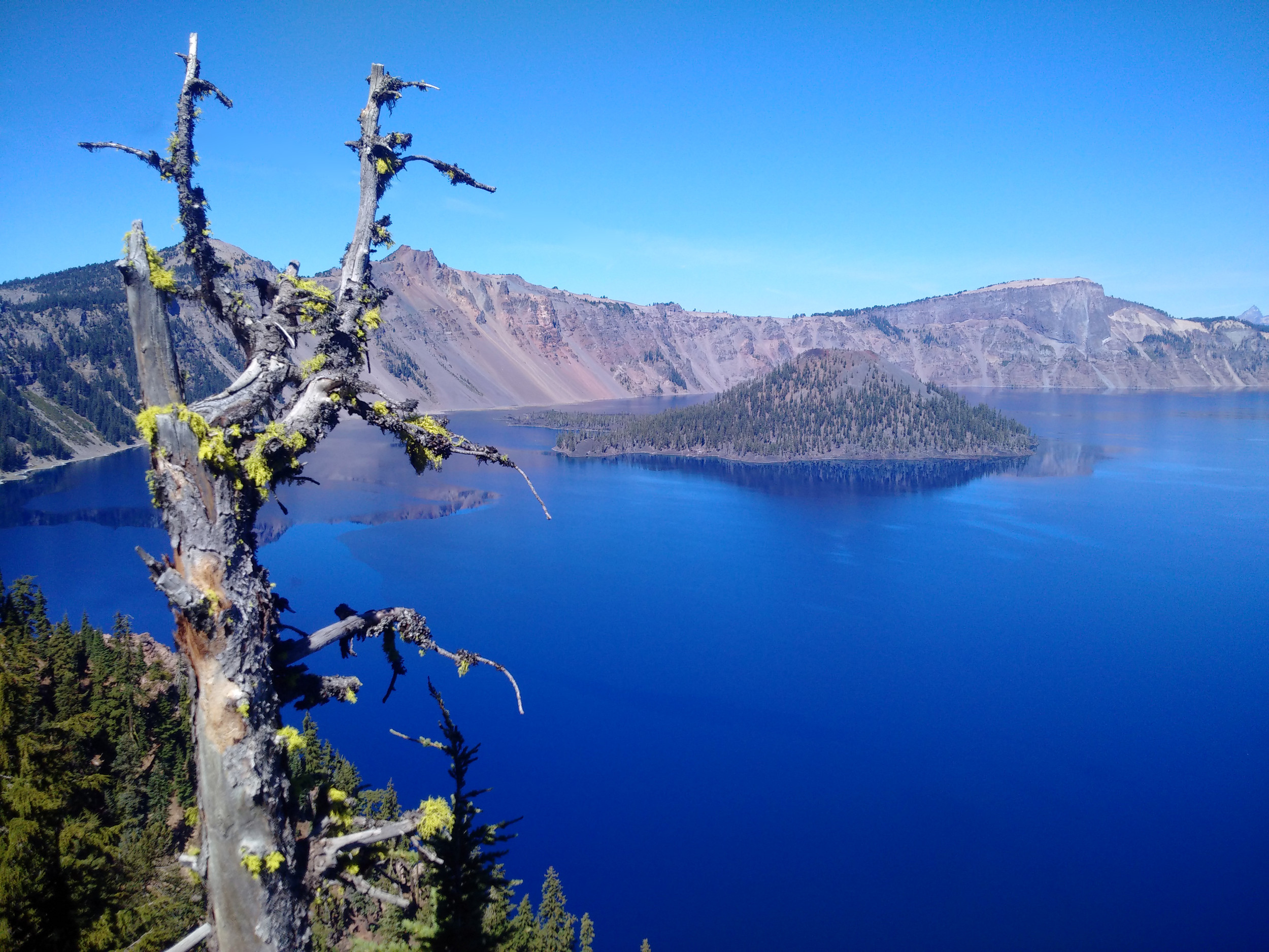 Mike Walters Novels | Mystery