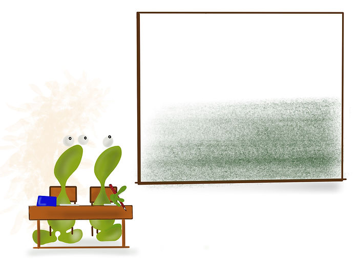 INICIO | Prim Pram Proyects