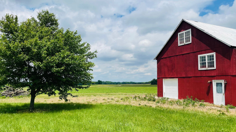 RBC Doggie Forum | Red Barn Cavaliers