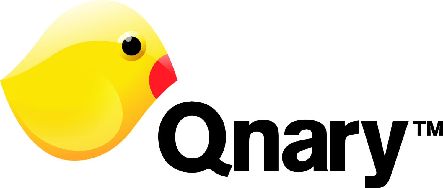 Qnary flies higher with the growth partner that thinks like a startup