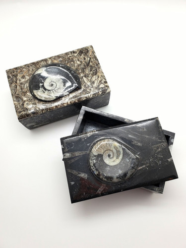 Fossil Boxes | dualcrossroads