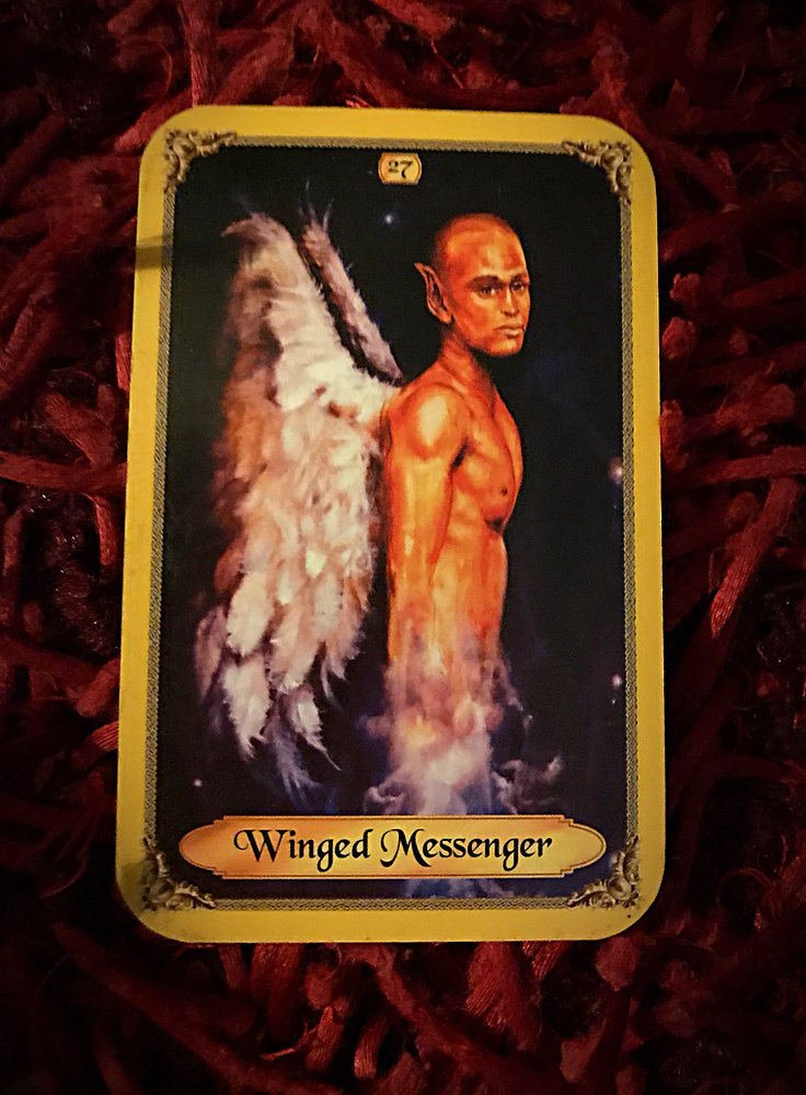 Today’s Card THE WINGED MESSENGER.