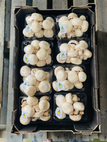 MUSHROOM PUNNET | Midway Fruit & Veg