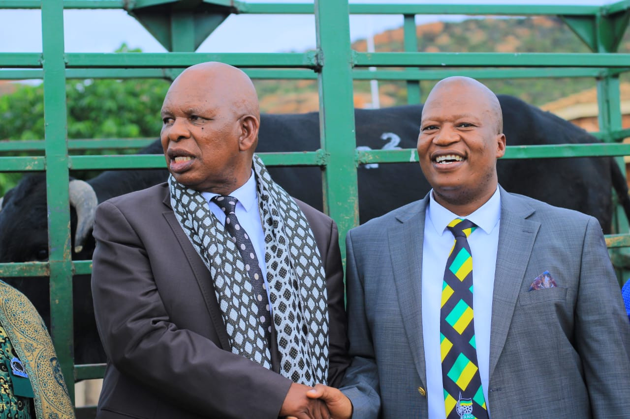 ANCYL provincial chair Tonny Rachoene respect to traditional leaders is ...