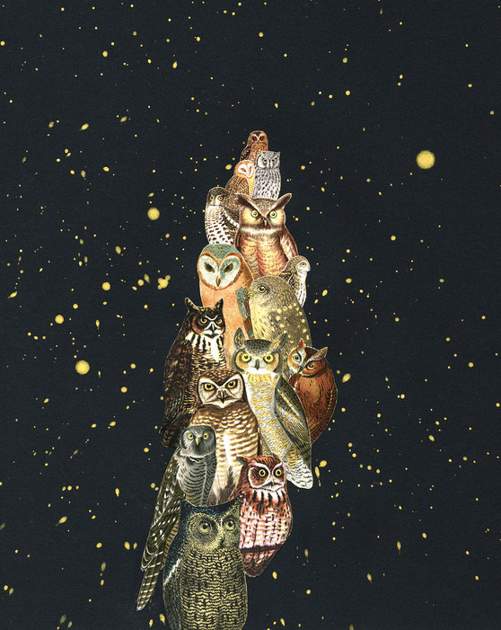 Collage | Artist Amy Ross