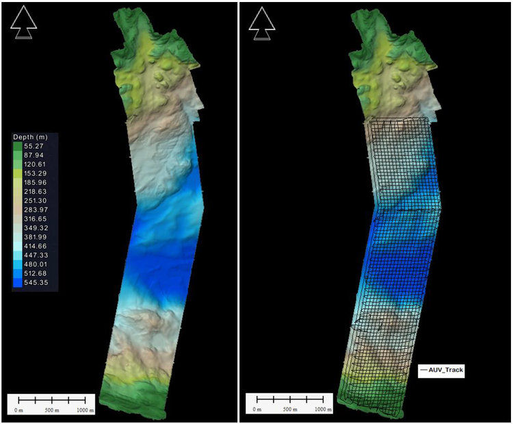 DOF Subsea and Ocean Floor Geophysics Inc. complete geophysical area ...