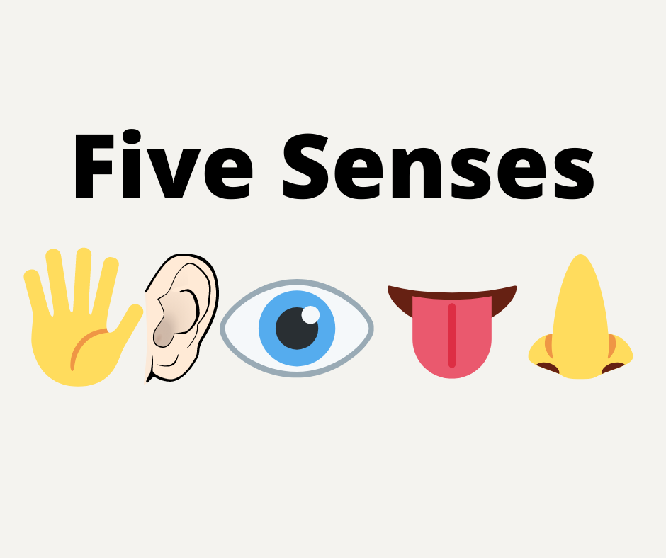The Five Senses Unit