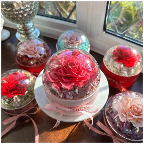 Enlarged Preserved Rose Dome Box | oneministore