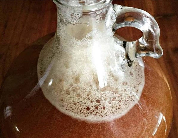 WILD FERMENTED HARD CIDER