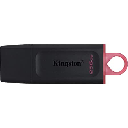 Kingston 256GB PEN DRIVE | Tech Point 53
