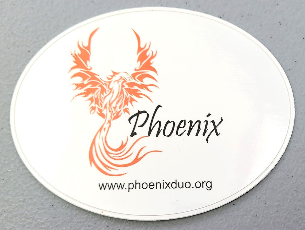 Shop | Phoenix House Publishing, LLC