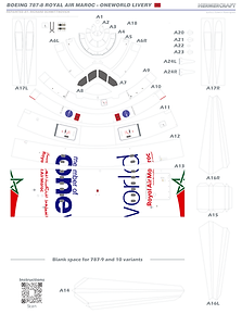 b787 | Repaint Aviation