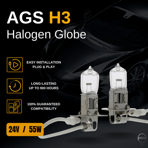 AGS H3 24vHalogen Globe | AGSAGS
