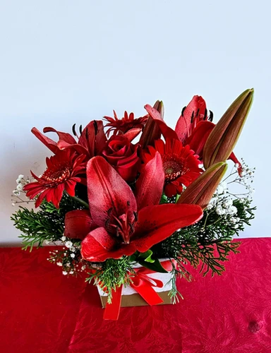 33. Red Twilight Ballad | Roses n Petals
