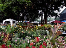 2019 Apopka Art and Foliage Festival - Apopka, FL