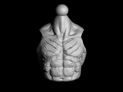 Scarred Torso 1.0 | Paul's Customs