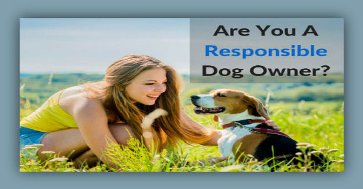 Responsible Dog Ownership