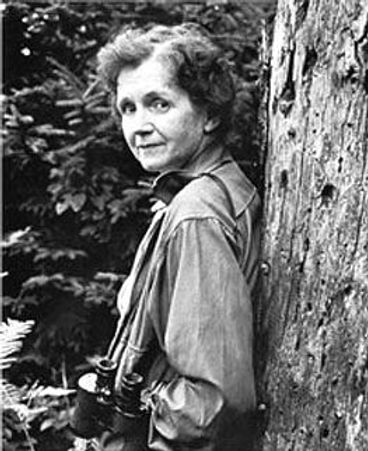 Historic Highlight: Rachel Carson