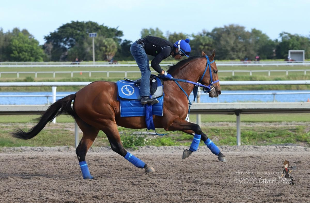 Afleet Alex Owners Renew Kentucky Derby Chances With Mischievous Alex
