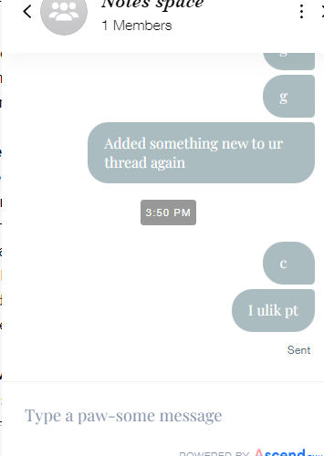 Typing chat bug: Solution | Petfect