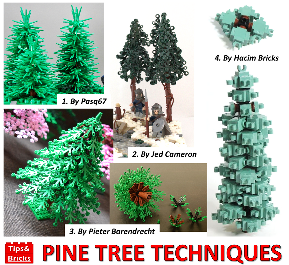 Question Before Making A Pine Tree Collage