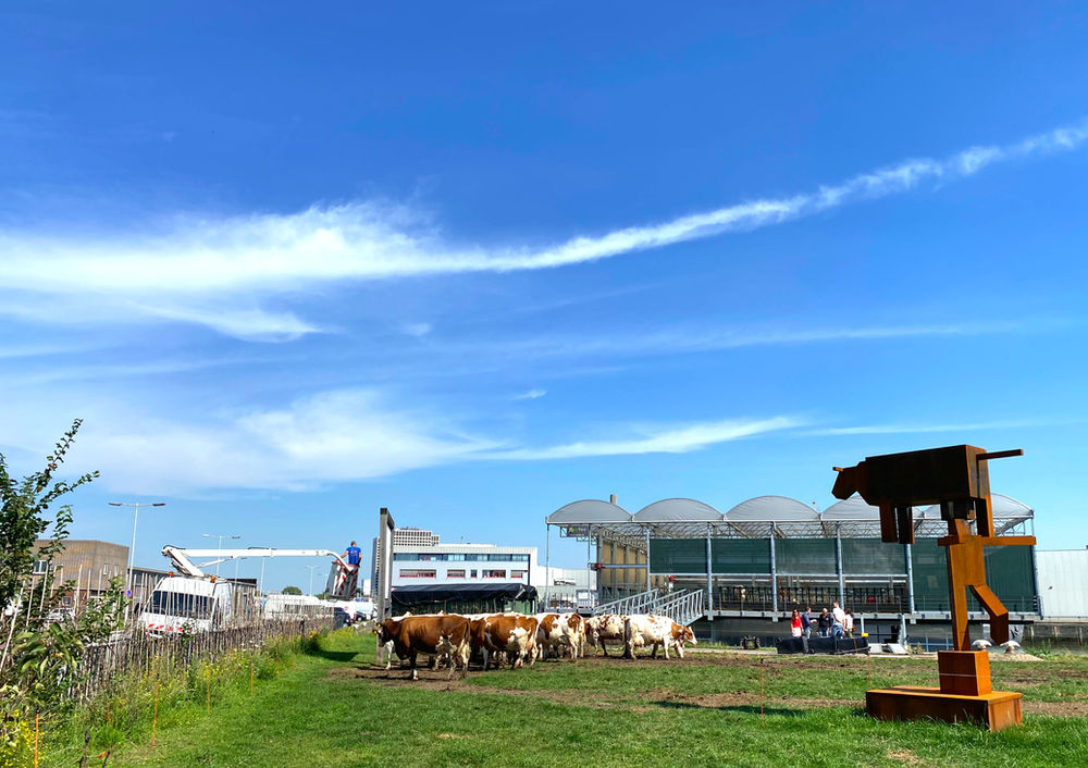 The world's first floating dairy farm is in Rotterdam